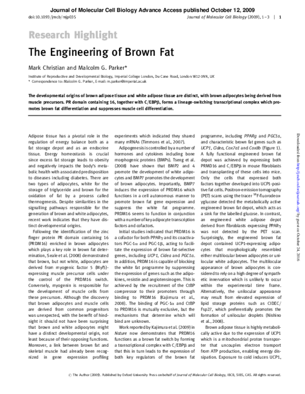 (PDF) The Engineering of Brown Fat