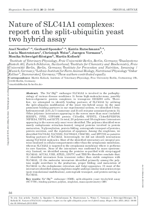 (PDF) Nature of SLC41A1 complexes: report on the split-ubiquitin yeast ...