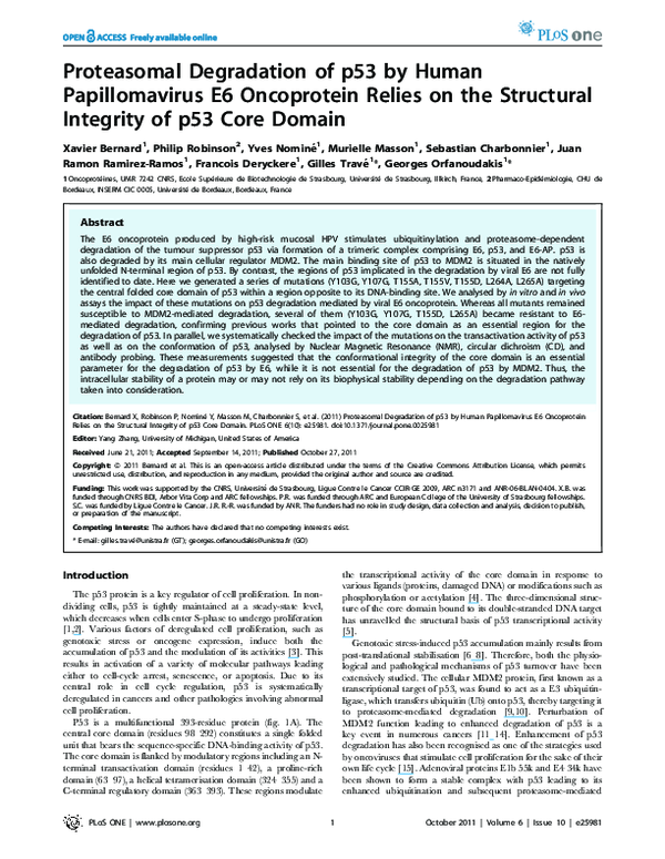 (PDF) Proteasomal Degradation of p53 by Human Papillomavirus E6 Oncoprotein Relies on the ...