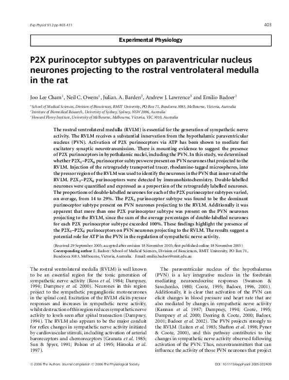 (PDF) P2X purinoceptor subtypes on paraventricular nucleus neurones ...
