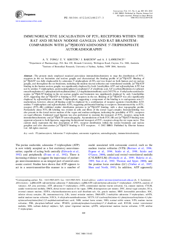 (PDF) Immunoreactive localisation of P2Y1 receptors within the rat and ...