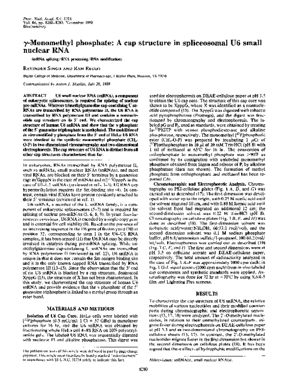 (PDF) gamma -monomethyl Phosphate: A Cap Structure in Spliceosomal U6 ...