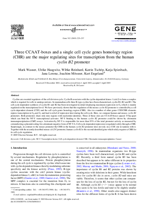 (PDF) Three CCAAT-boxes and a single cell cycle genes homology region ...