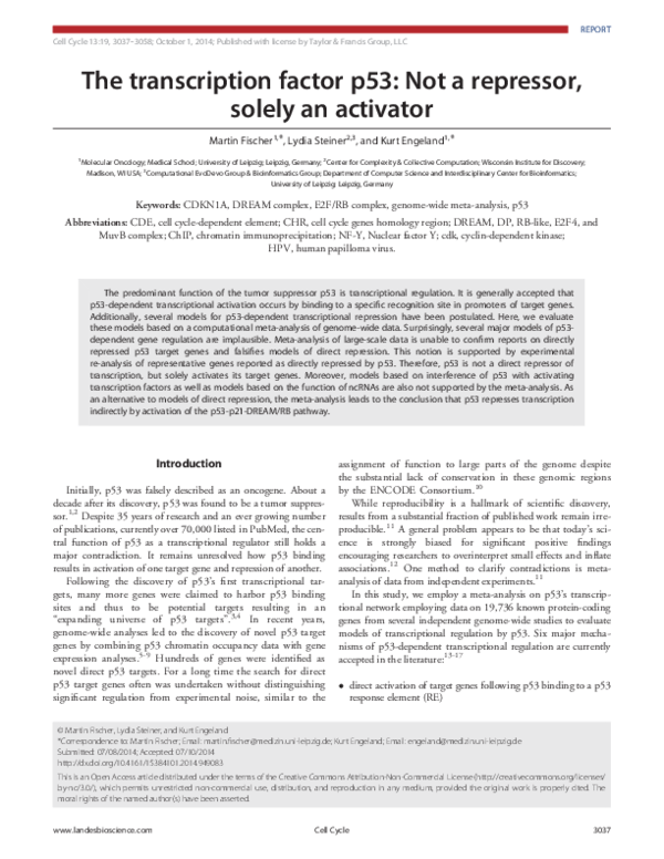 (PDF) The transcription factor p53: not a repressor, solely an activator
