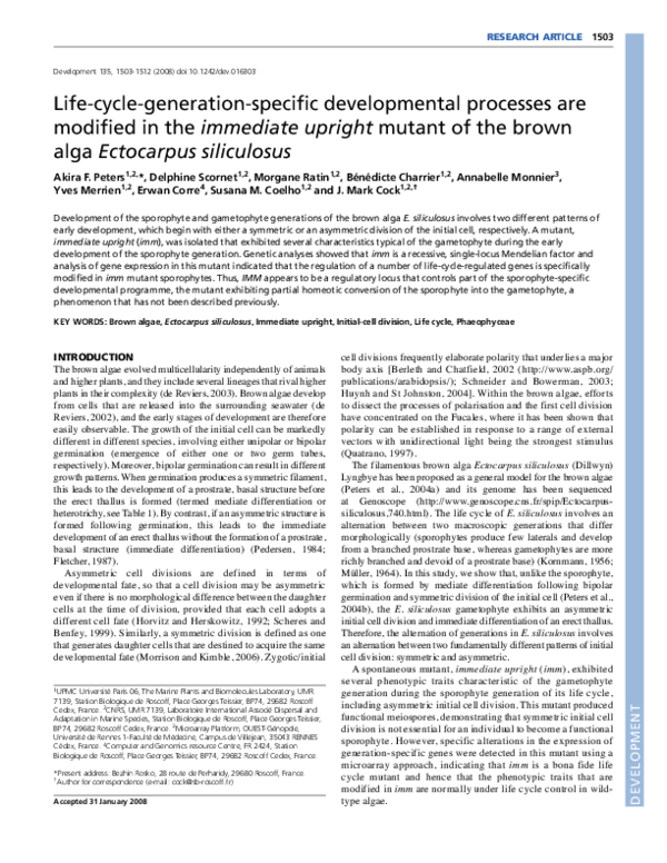 (PDF) Life-cycle-generation-specific developmental processes are ...