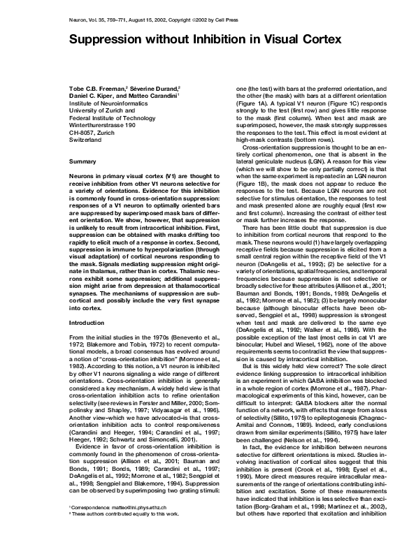 (PDF) Suppression without Inhibition in Visual Cortex