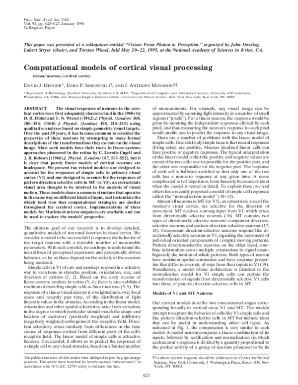 (PDF) Computational models of cortical visual processing