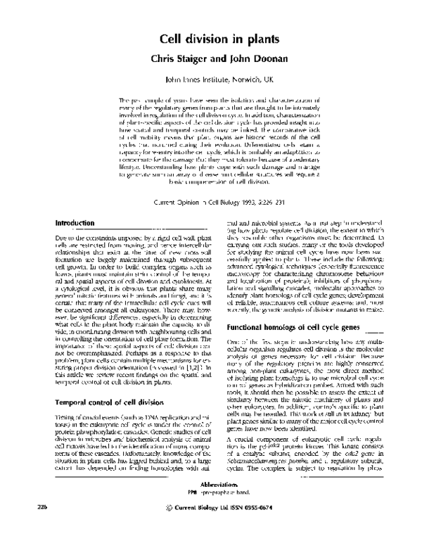 (PDF) Cell division in plants