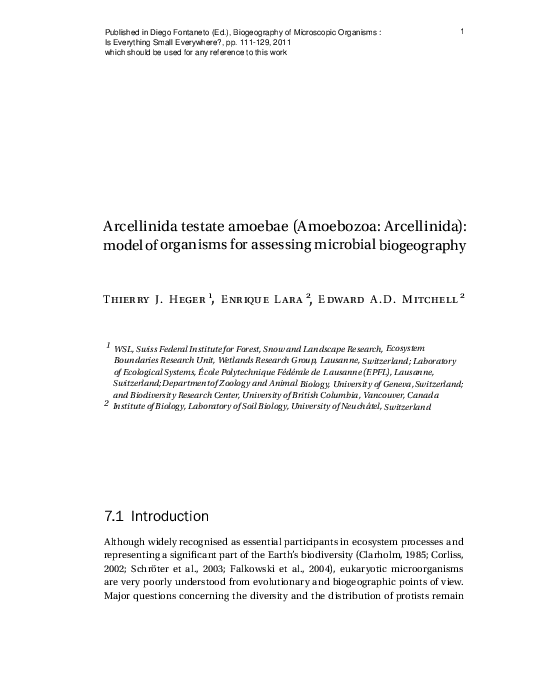 (PDF) Arcellinida testate amoebae (Amoebozoa: Arcellinida): model of ...