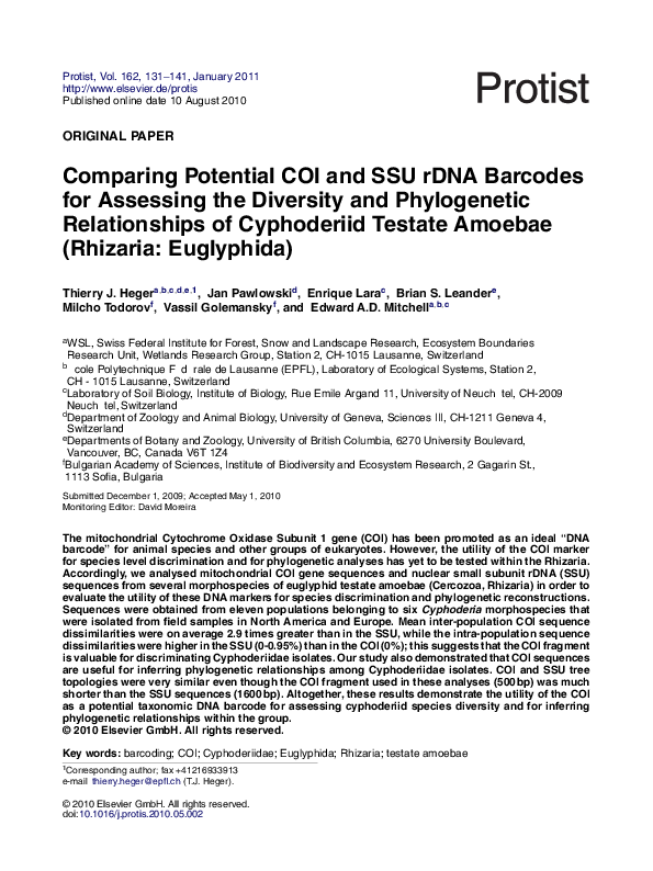 (PDF) Comparing Potential COI and SSU rDNA Barcodes for Assessing the ...