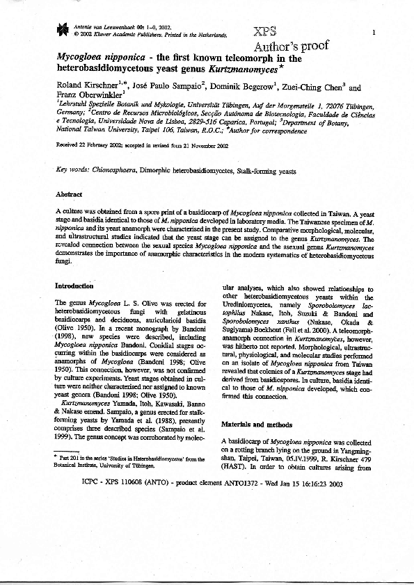 (PDF) Mycogloea nipponica - the first known teleomorph in the ...