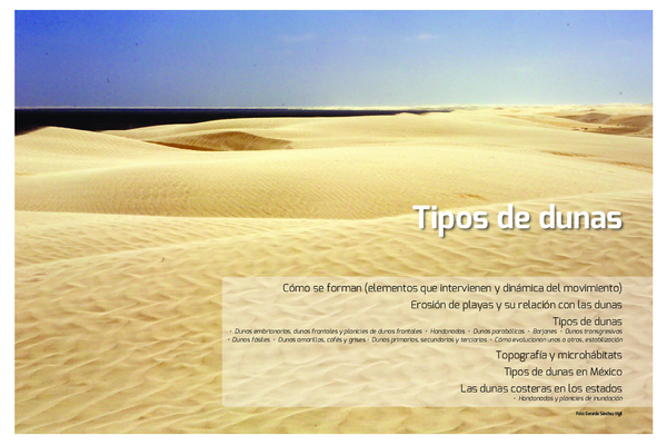 (PDF) Tipos de dunas