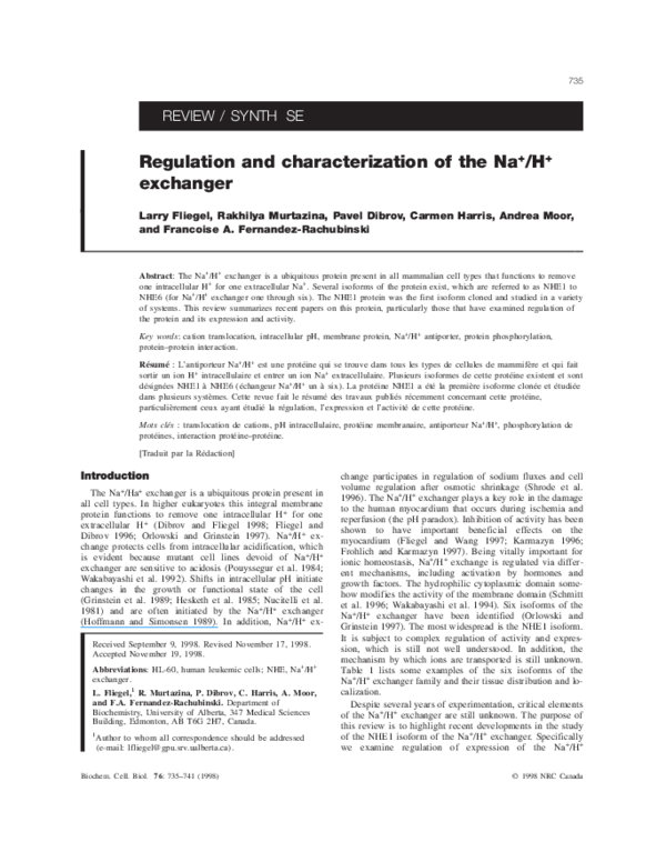(PDF) Mechanisms of regulation of the Na+/H+ exchanger | Sergio ...