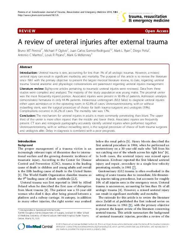 (PDF) A review of ureteral injuries after external trauma
