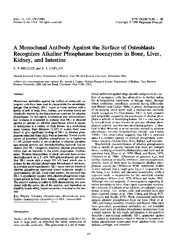 (PDF) A monoclonal antibody against the surface of osteoblasts ...