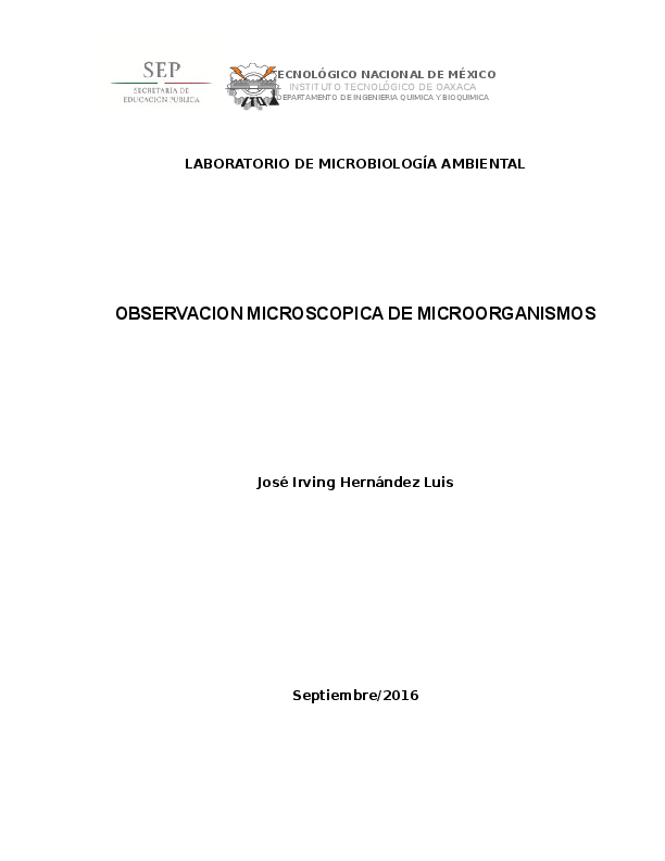 (DOC) OBSERVACION MICROSCOPICA DE MICROORGANISMOS