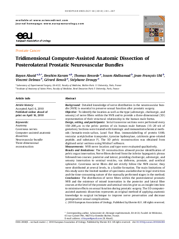 (PDF) Tridimensional Computer-Assisted Anatomic Dissection of ...