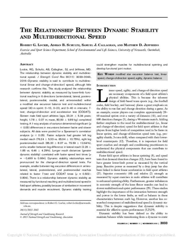 (PDF) THE RELATIONSHIP BETWEEN DYNAMIC STABILITY AND MULTIDIRECTIONAL ...