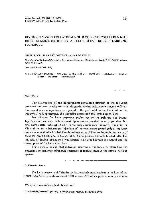 (PDF) Divergent axon collaterals of rat locu Demonstration by a ...