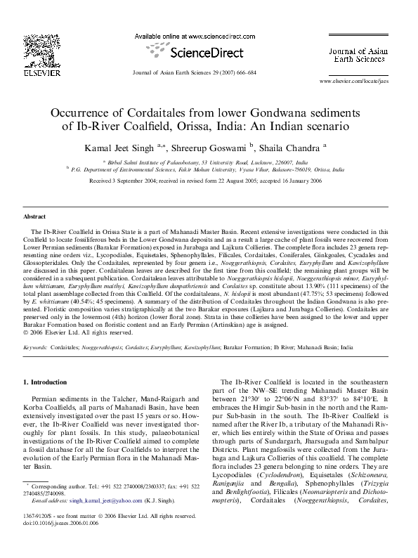 (PDF) Occurrence of Cordaitales from lower Gondwana sediments of Ib ...