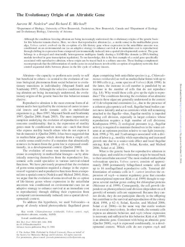 (PDF) The Evolutionary Origin of an Altruistic Gene