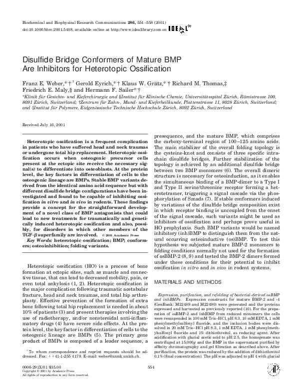 (PDF) Disulfide Bridge Conformers of Mature BMP Are Inhibitors for ...