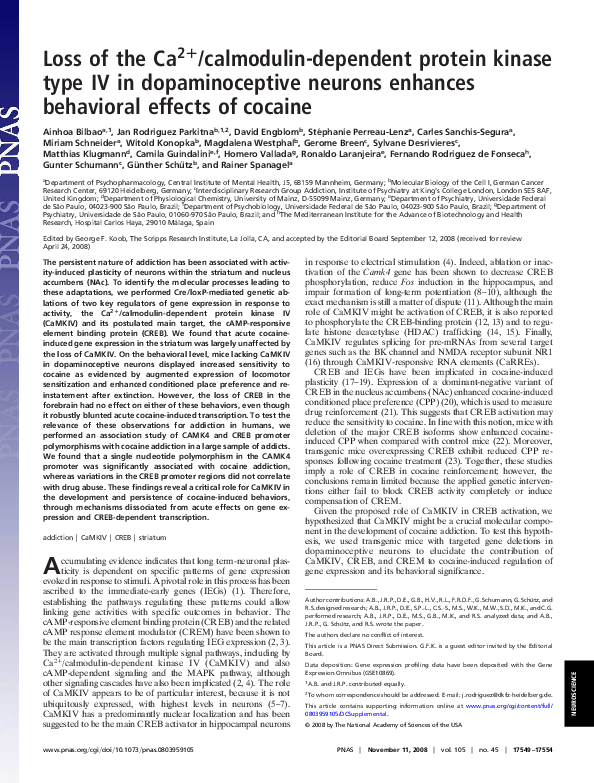 (PDF) Loss of the Ca2+/calmodulin-dependent protein kinase type IV in dopaminoceptive neurons ...