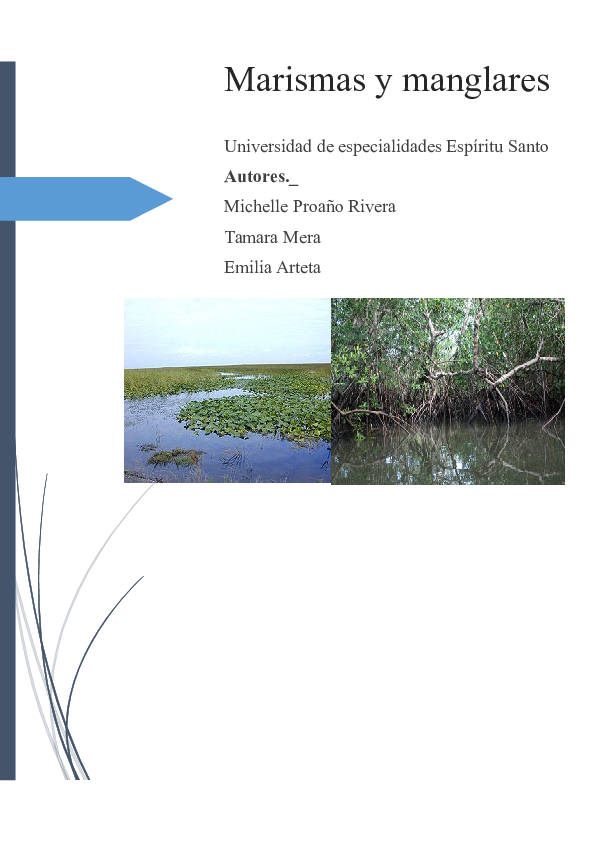 (DOC) Marismas y manglares