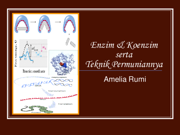 (PDF) Enzim & Koenzim serta Teknik Permuniannya