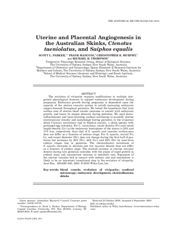 (PDF) Uterine and Placental Angiogenesis in the Australian Skinks ...