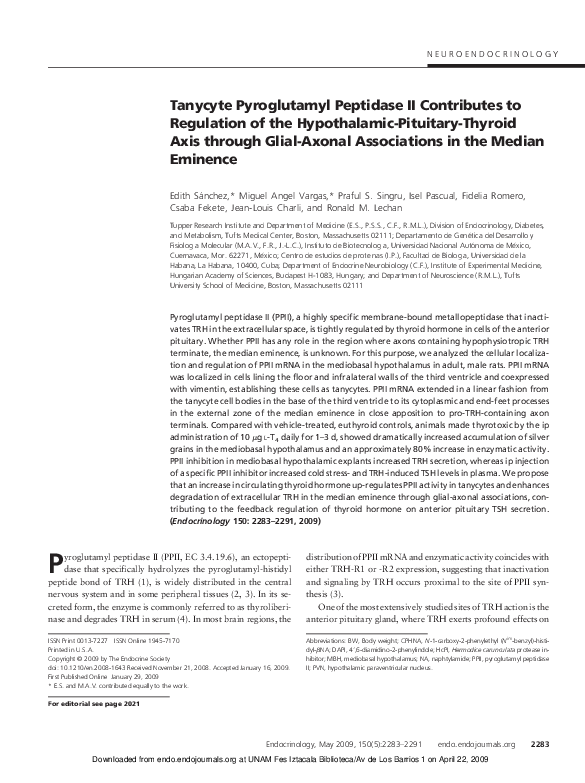 (PDF) Tanycyte Pyroglutamyl Peptidase II Contributes to Regulation of ...