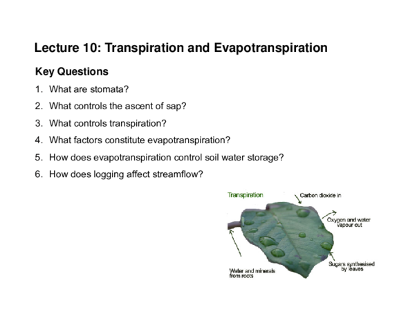 (PDF) Lecture 10: Transpiration and Evapotranspiration Key Questions
