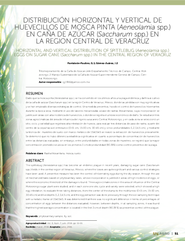 (PDF) HORIZONTAL AND VERTICAL DISTRIBUTION OF SPITTLEBUG (Aeneolamia ...