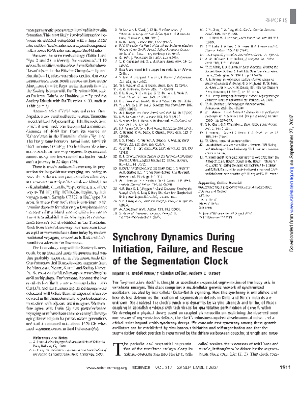 (PDF) Synchrony Dynamics During Initiation, Failure, and Rescue of the Segmentation Clock