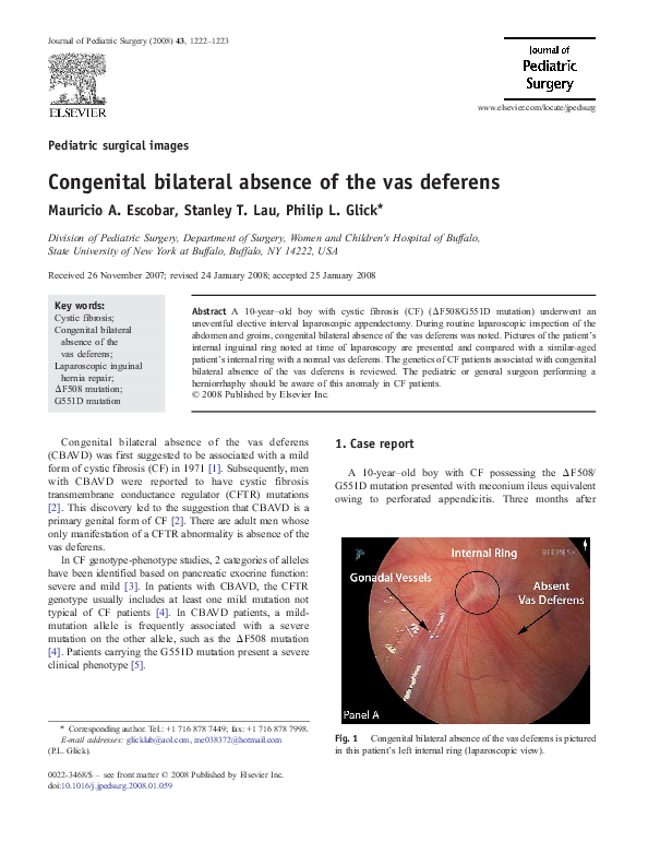 (PDF) Congenital bilateral absence of the vas deferens