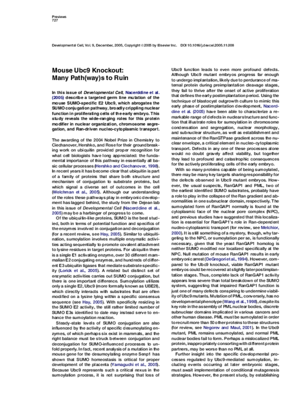 (PDF) Mouse Ubc9 Knockout: Many Path(way)s to Ruin
