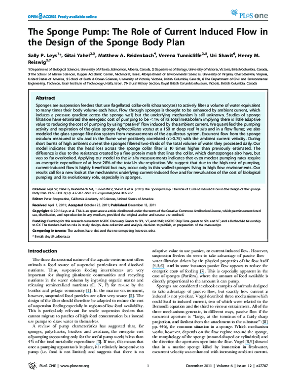 (PDF) The Sponge Pump: The Role of Current Induced Flow in the Design ...