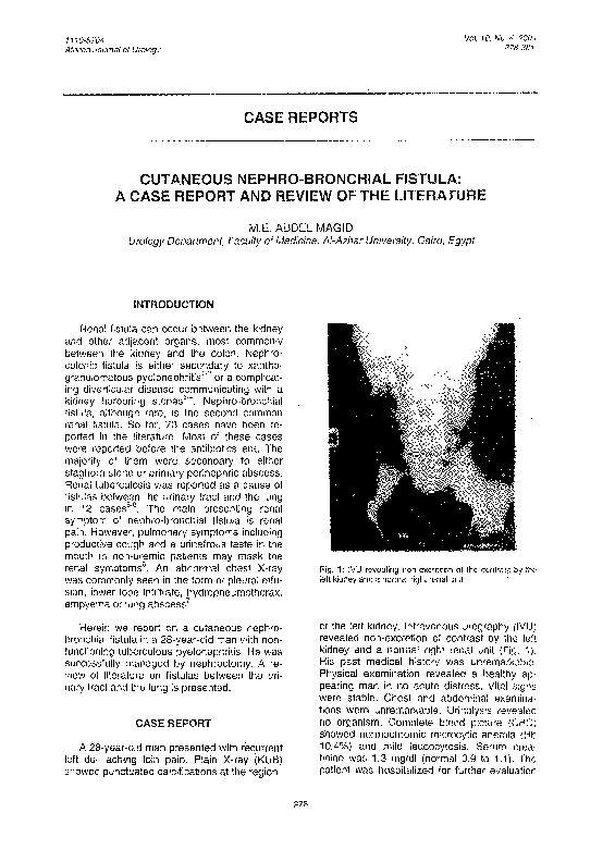 (PDF) Cutaneous Nephro-broncheal Fistula