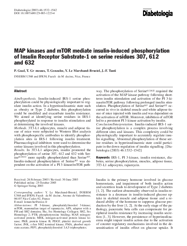 (PDF) MAP kinases and mTOR mediate insulin-induced phosphorylation of ...