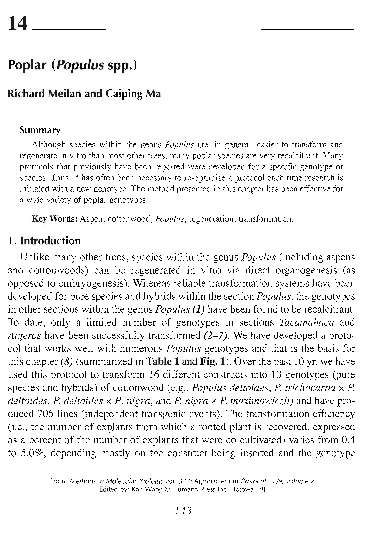 (PDF) Poplar (Populus spp.)