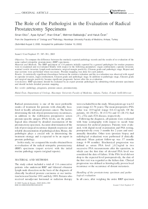 (PDF) The role of the pathologist in the evaluation of radical ...