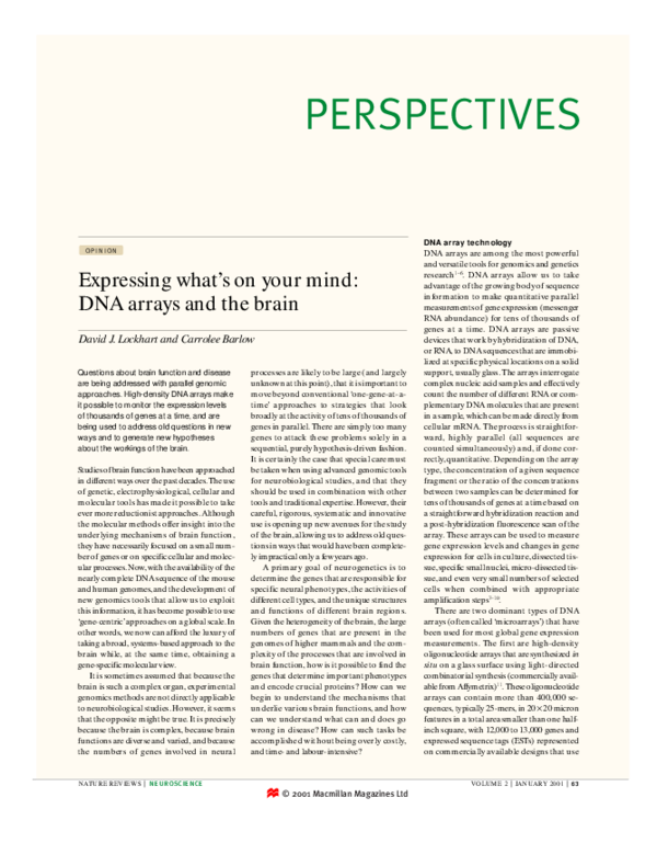 (PDF) Expressing what's on your mind: DNA arrays and the brain