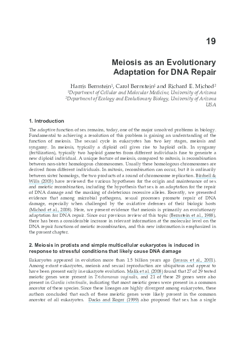 (PDF) Meiosis as an Evolutionary Adaptation for DNA Repair | Richard E ...
