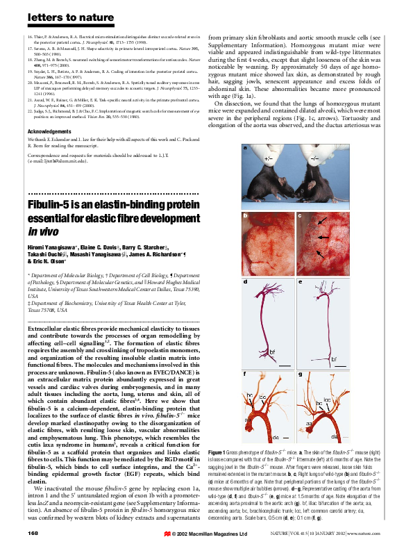 (PDF) Fibulin-5 is an elastin-binding protein essential for elastic ...