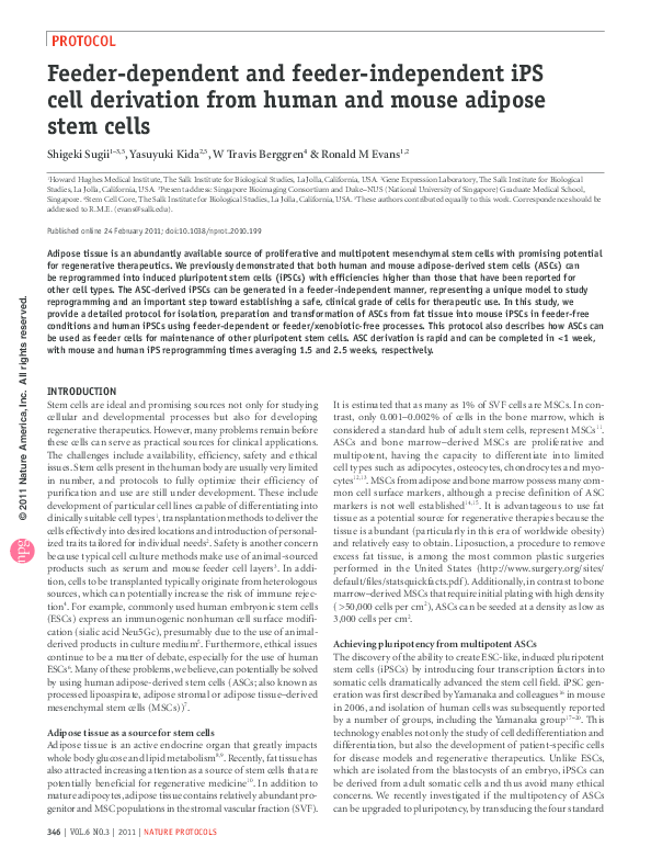 (PDF) Feeder-dependent and feeder-independent iPS cell derivation from ...