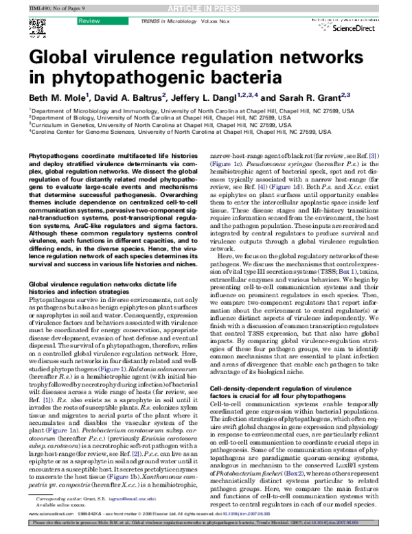 (PDF) Global virulence regulation networks in phytopathogenic bacteria