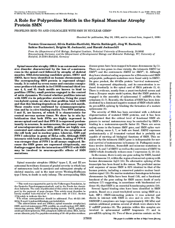 (PDF) A Role for Polyproline Motifs in the Spinal Muscular Atrophy ...