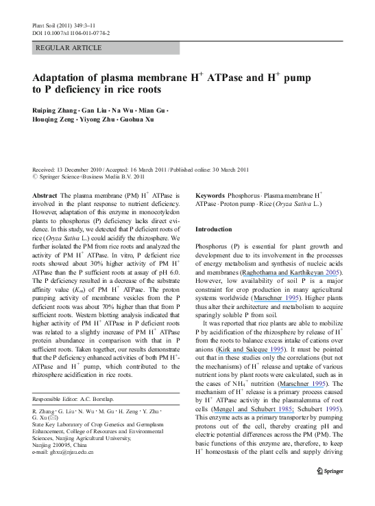 (PDF) Adaptation of plasma membrane H + ATPase and H + pump to P ...