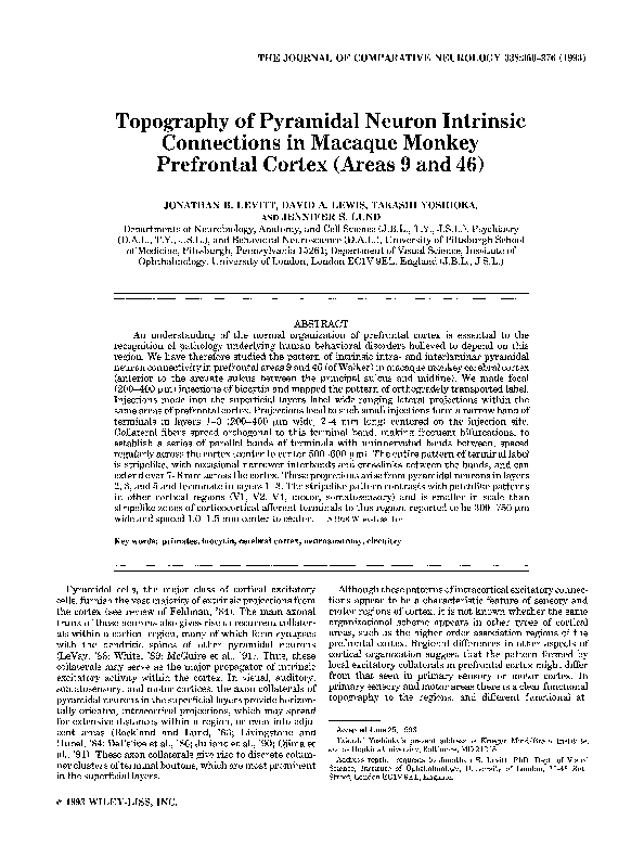 (PDF) Topography of pyramidal neuron intrinsic connections in macaque ...