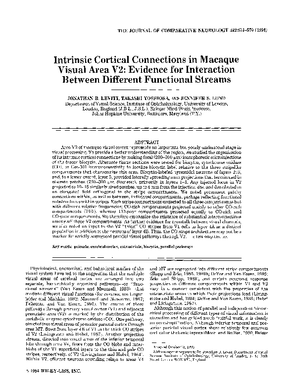 (PDF) Intrinsic cortical connections in macaque visual area V2: Evidence for interaction between ...